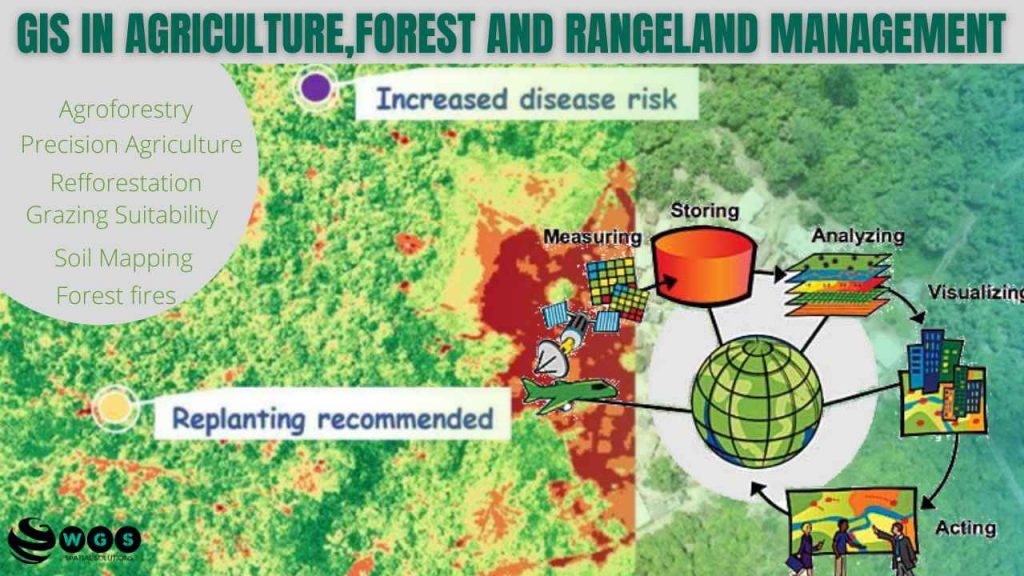 GIS in Agriculture and Forestry - WiseGIS Spatial Solutions